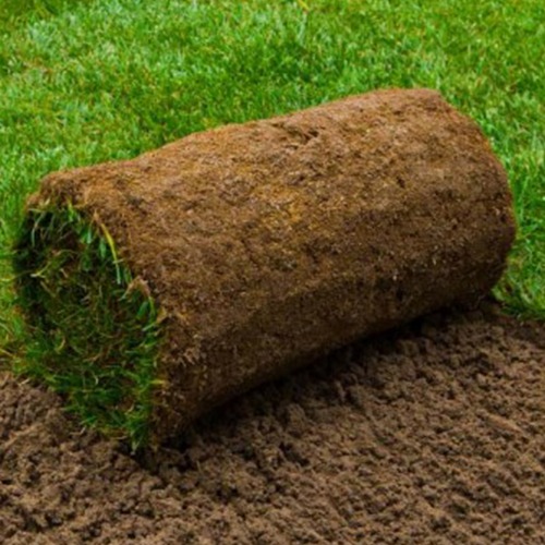 Hoe kan ik mijn rolgazon onderhouden? - Advance Greenshop